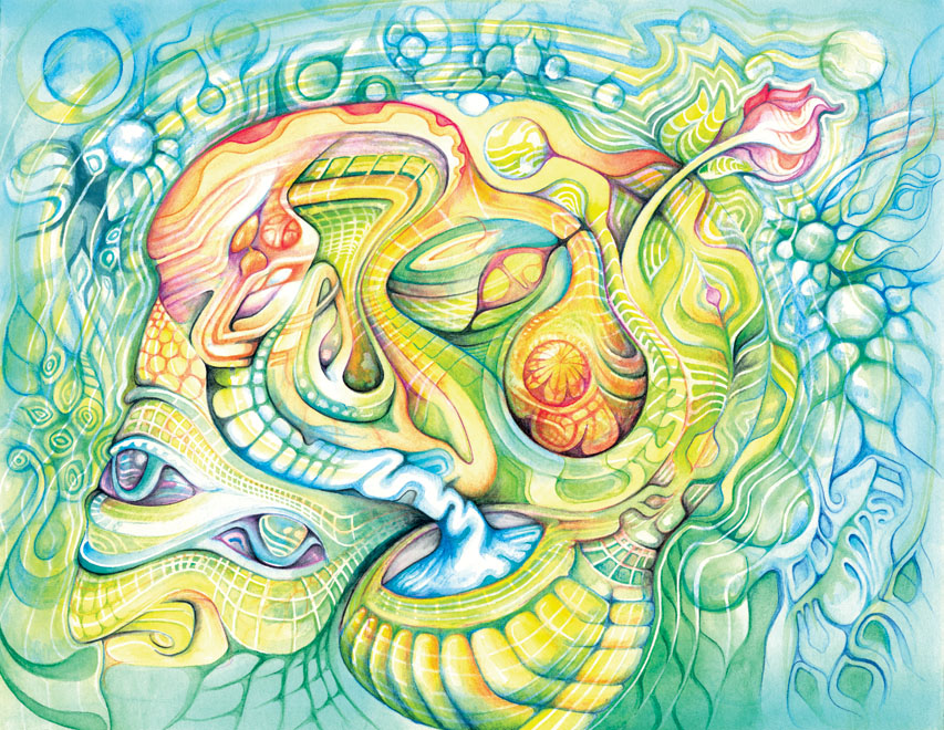 LSD e seus Efeitos – Análise Completa da Substância – Mundo Cogumelo